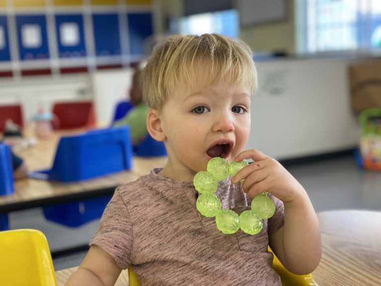 Biting Policy - Helping children use their words. - Halsey Schools ...